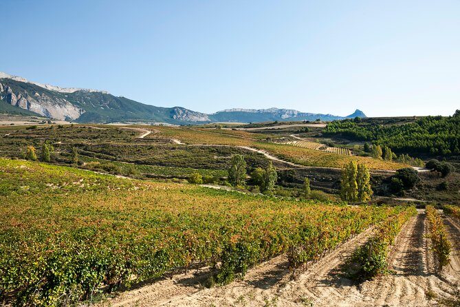 Rioja Wine Tour: 2 Wineries Visit with Tasting from San Sebastian - FAQs