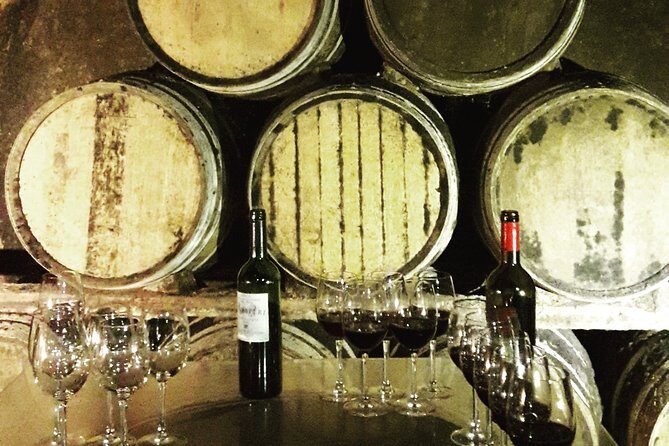 Rioja's Top wines tasting private tour - An In-Depth Look at the Rioja Private Tour