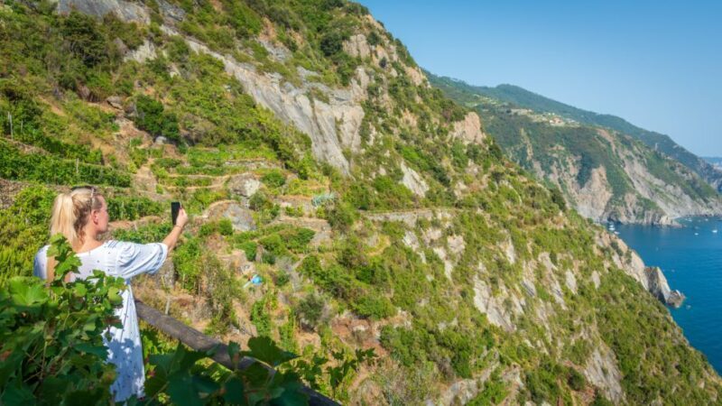 Riomaggiore: Vineyard & Wine Cellar Tour with Wine Tasting - Key Points