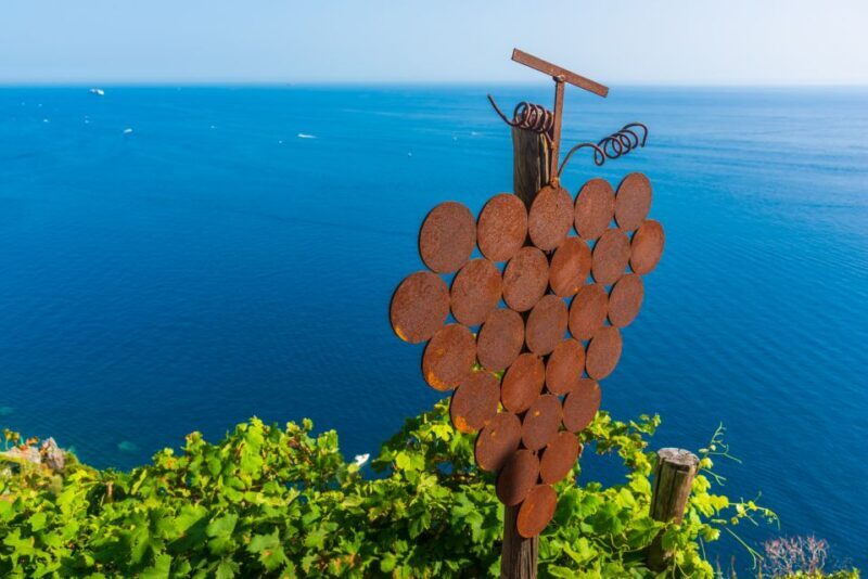 Riomaggiore: Vineyard & Wine Cellar Tour with Wine Tasting - Final Thoughts