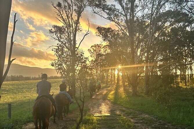 Rise and Shine 75 Minutes Early Morning Ride - An In-Depth Look at the Sunrise Horse Ride Experience