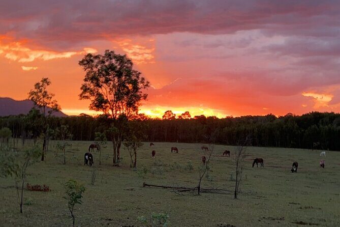 Rise and Shine 75 Minutes Early Morning Ride - Who Might Be Disappointed?