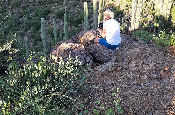 Ritz Dove Mountain and Totolita Hiking - Who Is This Tour Best Suited For?