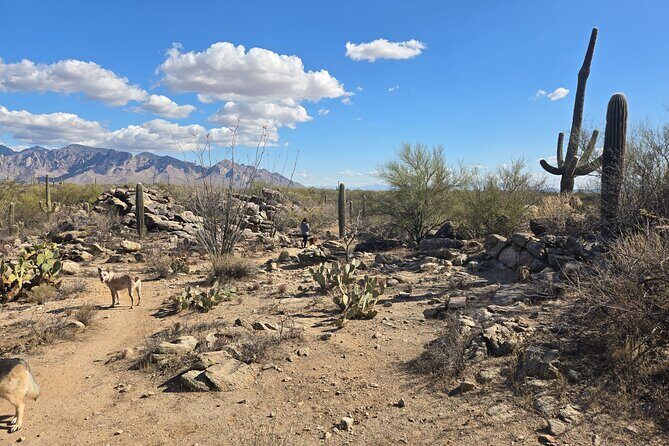 Ritz Dove Mountain and Totolita Hiking - Summary