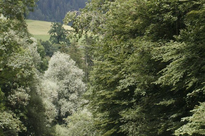 River Rafting Simme with OUTDOOR - Key Points