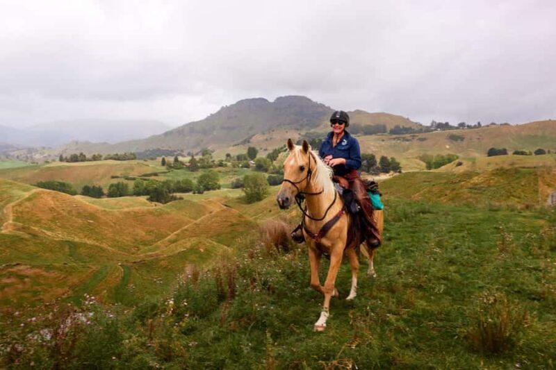 River Valley Lodge: High Country Enchantment Horse Trek - Why We Think It’s Worth It