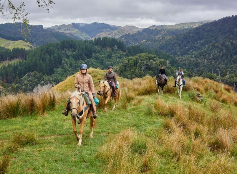 River Valley Lodge: High Country Enchantment Horse Trek - Who Should Consider This Tour?