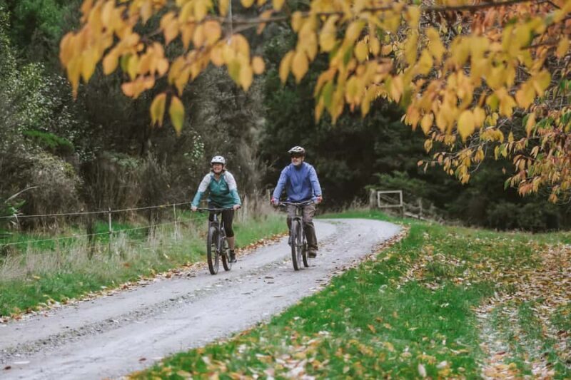 River Valley Lodge: River Valley E-Bike Rental with Lunch - Key Points