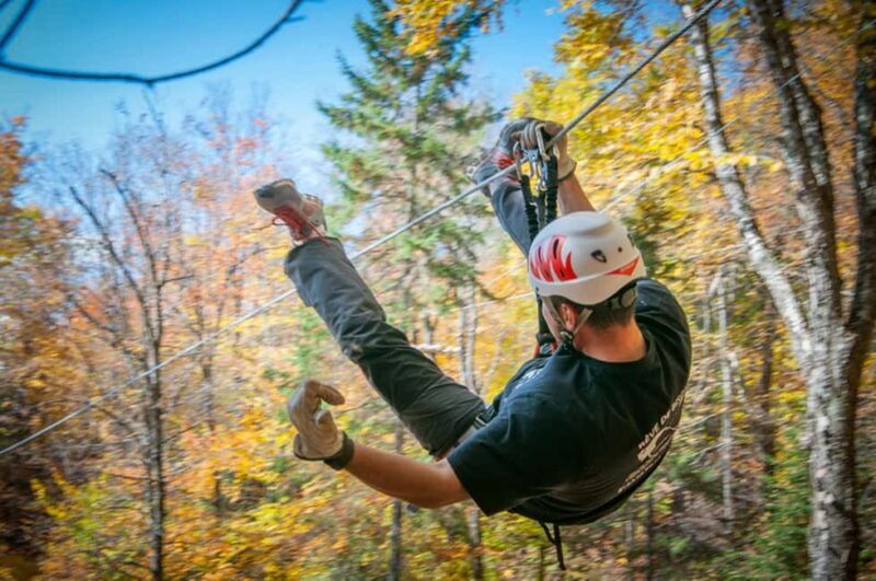 River Ziplines - Nature Tours - Key Points: