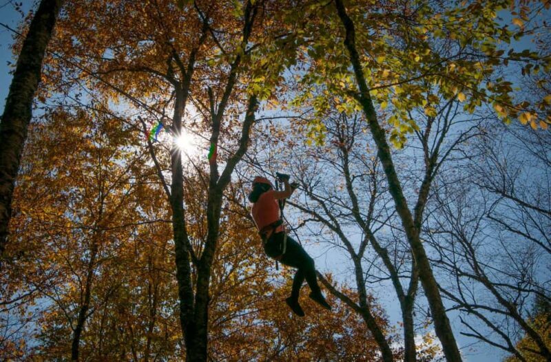 River Ziplines - Nature Tours - What to Expect from the River Ziplines Experience