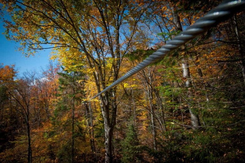 River Ziplines - Nature Tours - Considerations and Practical Tips