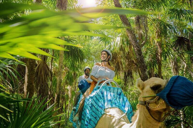 Riviera Maya: Camel Caravan Expedition and Beach Club Access - Riviera Maya: Camel Caravan Expedition and Beach Club Access — An In-Depth Review