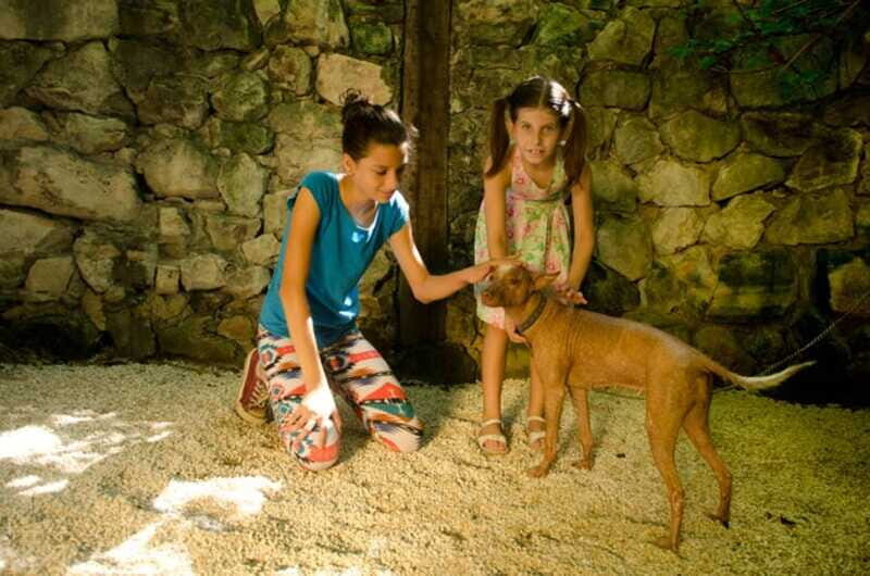 Riviera Maya: Croco Cun Interactive Zoo Tour - The Value of the Experience