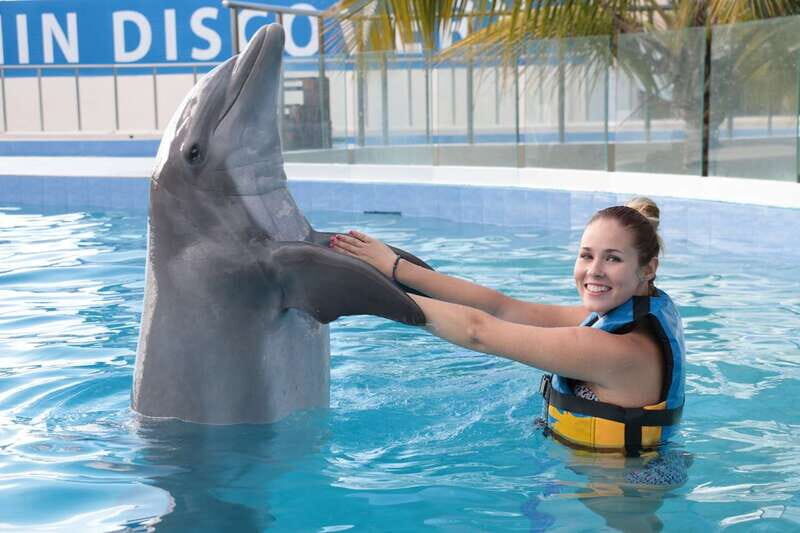 Riviera Maya: Dolphin Encounter with Beach Club Access - In Summary