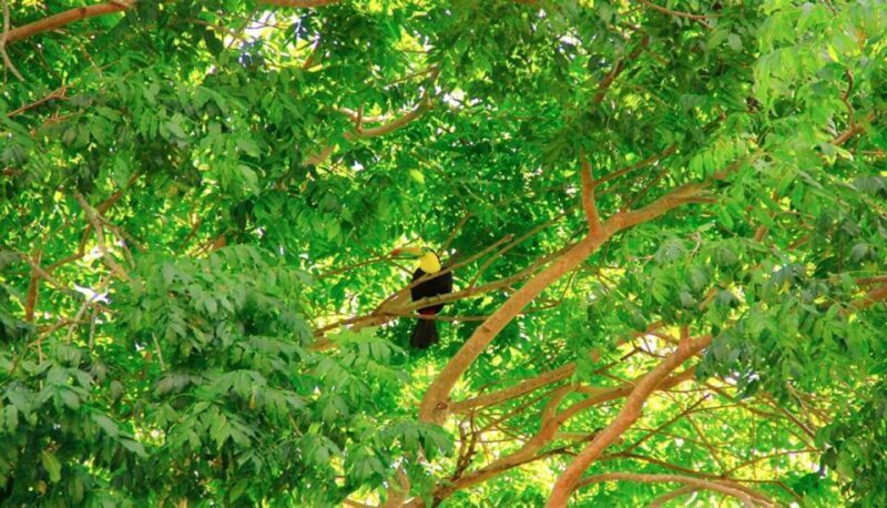 Riviera Maya: Horseback Riding at Rancho Bonanza - Key Points