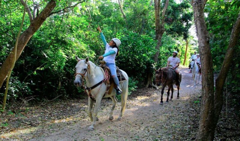 Riviera Maya: Horseback Riding at Rancho Bonanza - The Sum Up
