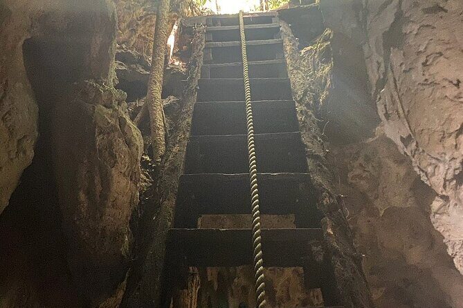 Riviera Maya Private Snorkeling Tour Adventure - Who Should Consider This Tour?