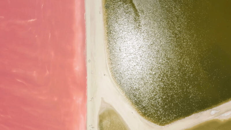 Riviera Maya: Rio Lagartos & Las Coloradas Day Trip w/Lunch - Exploring the Riviera Maya: Rio Lagartos & Las Coloradas Day Trip with Lunch