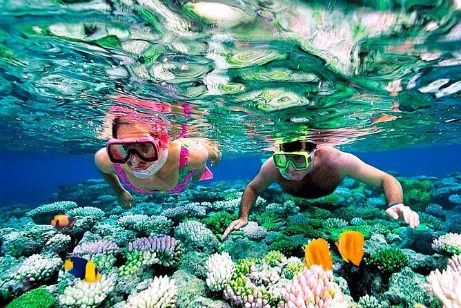 Riviera Maya Snorkeling - Who Will Love This Tour?