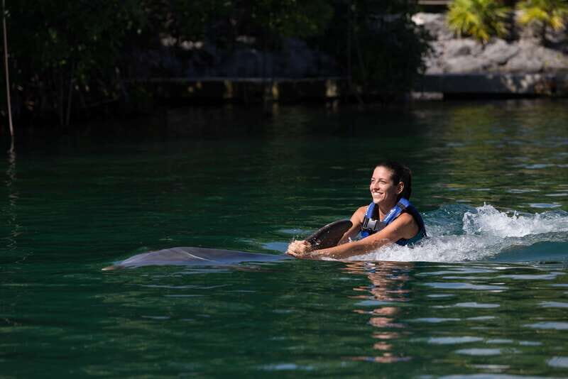 Riviera Maya: Swim with dolphins Interax - What to Expect from the Dolphin Swim Experience