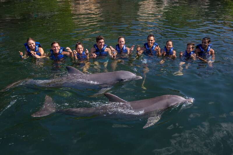Riviera Maya: Swim with dolphins Interax - Final Thoughts: Is This Dolphin Encounter Worth It?