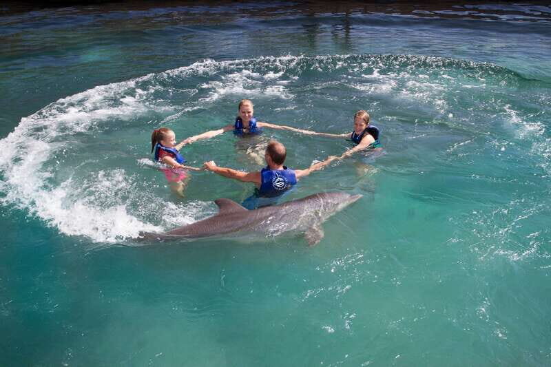 Riviera Maya: Swim with dolphins Primax - The Sum Up: Who Will Love This Experience?