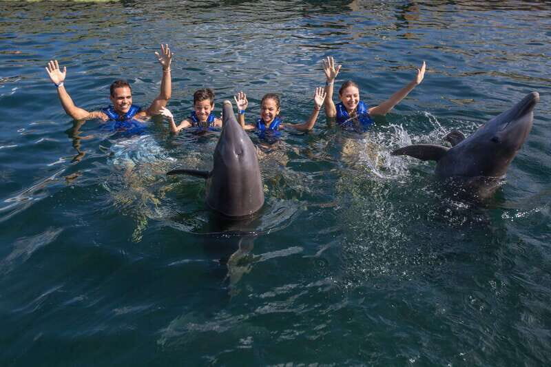 Riviera Maya: Swimming Experience with Dolphins - Practical Details and What to Expect
