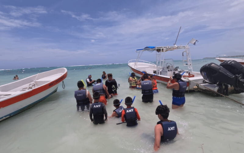 Riviera Maya: Tulum Ruins Tour, Turtle Swimming, Cenotes, and Lunch. - FAQs