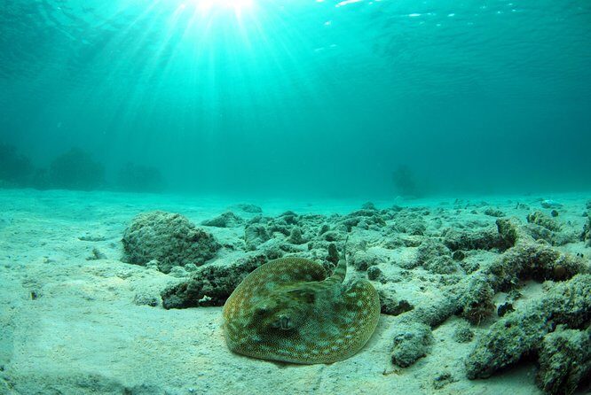 Riviera Maya Ultimate Adventure ATV's Snorkeling & Zip Lines - Who Should Consider This Tour?