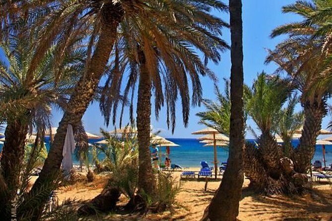RIVIERA - Vai Palm Beach, Toplou Monastery - A Closer Look at the Tour Itinerary