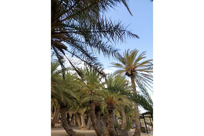 RIVIERA - Vai Palm Beach, Toplou Monastery - The Sum Up