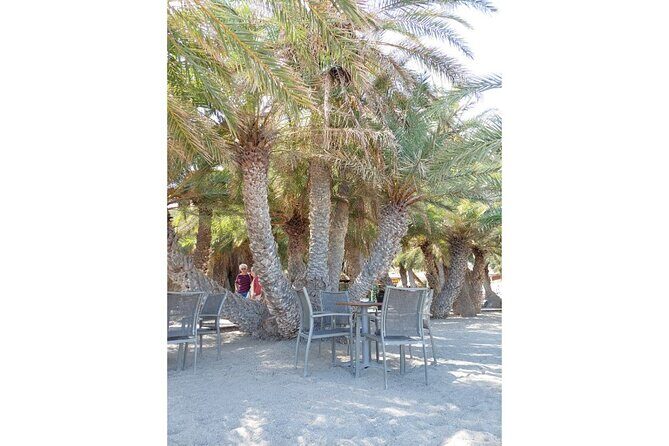 RIVIERA - Vai Palm Beach, Toplou Monastery - FAQ