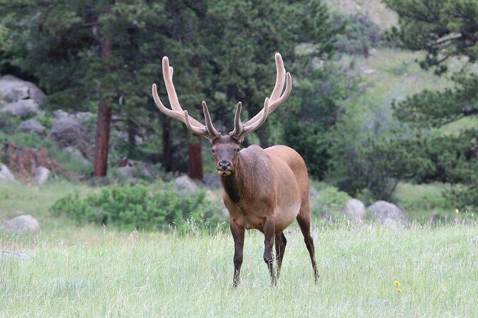 RMNP: Bear Lake Corridor Tour - Who Will Love This Tour?