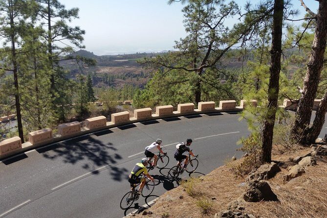 Road Cycling Tenerife - Teide Route - Key Points