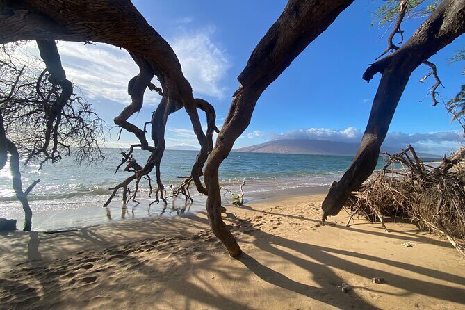 Road to Hana Maui Tours - Practical Details and Considerations