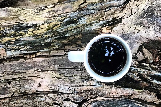 Roasting Experience at 14th Coffee Co - Final Thoughts