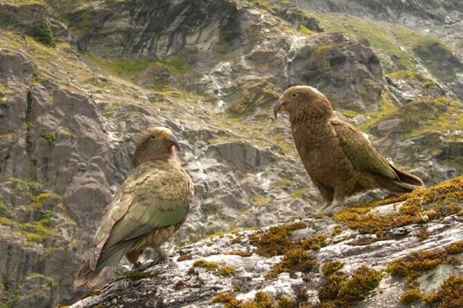 Rob Roy Glacier Guided Walk - FAQ