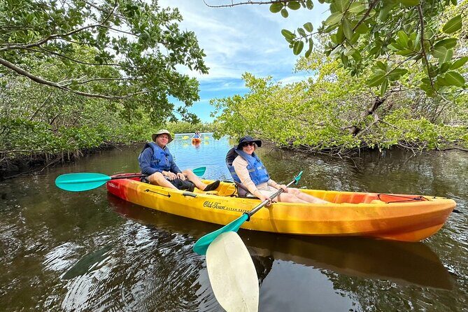 Robinson Preserve Mangrove Tour - The Sum Up: Is It Worth It?