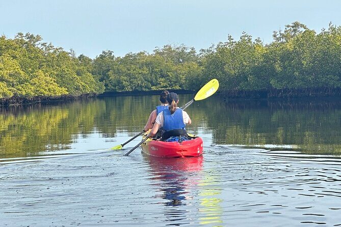 Robinson Preserve Mangrove Tour - Frequently Asked Questions