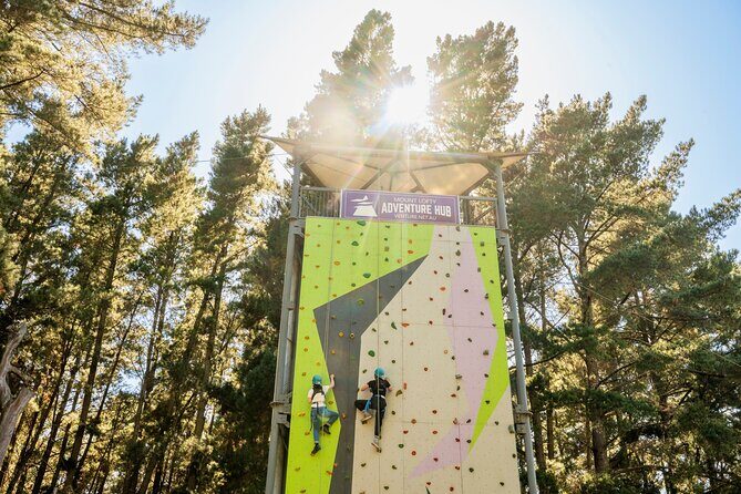 Rock Climb, Zipline and Mega Swing Experience - What the Experience Offers