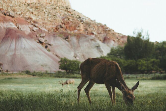 Rock Climbing Day Trip at Smith Rock State Park - The Climbing Terrain and Scenery