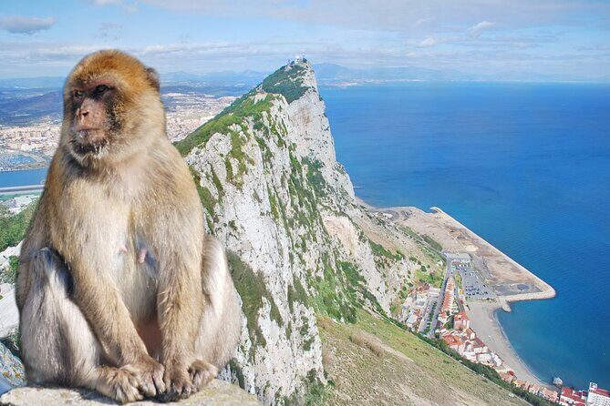 Rock Tour in Gibraltar by Bus with Tickets - Final Thoughts  