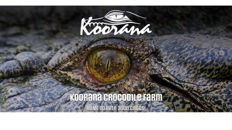 Rockhampton: Koorana Crocodile Farm Guided Tour - Who Will Enjoy This Tour?
