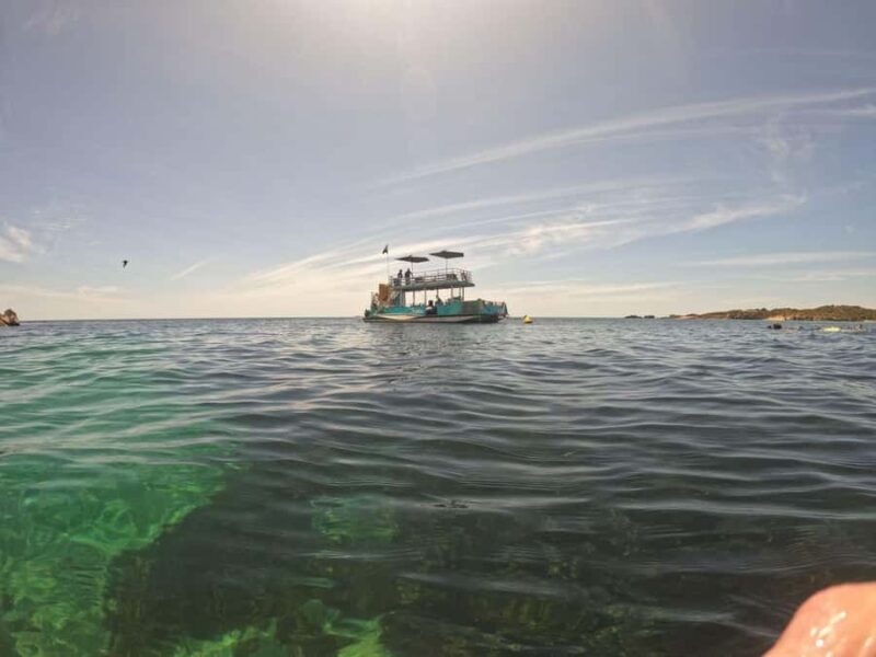 Rockingham: 3 Island Wildlife Snorkeling Cruise with Lunch - Final Thoughts