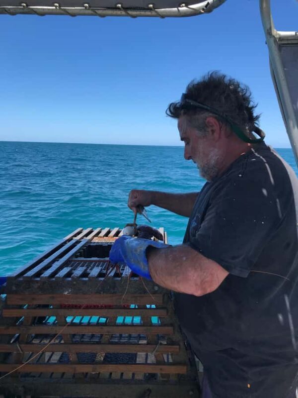 Rockingham: Lobster Catch and Keep Tour with Refreshments - The Final Word: Who Will Love This Experience?