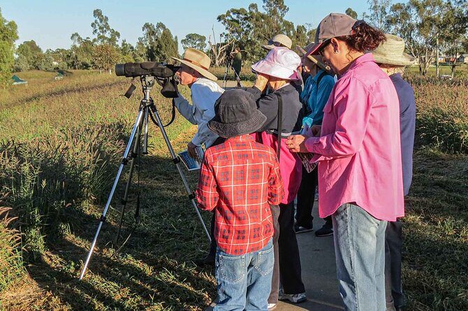 Roma: 1-Hour Birdwatching Nature Trail Walk - Key Points  