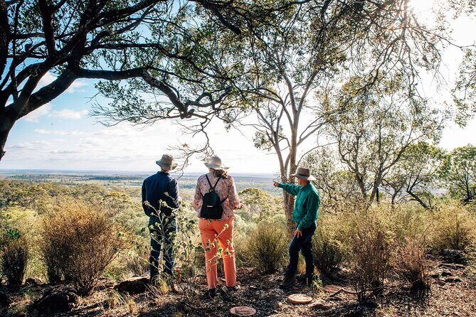 Roma: Landscape and Legacy Day Tour Including Lunch - Key Points