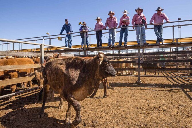 Roma: Landscape and Legacy Day Tour Including Lunch - Final Thoughts: Is This Tour for You?