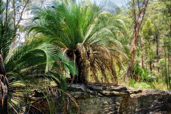 Roma: Lost World Carnarvons (Wallaroo) Day Tour - Frequently Asked Questions