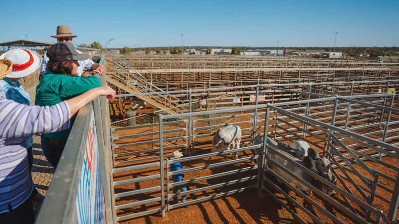 Roma: Roma Revelation Half Day Tour - In-Depth Look at the Tour Experience